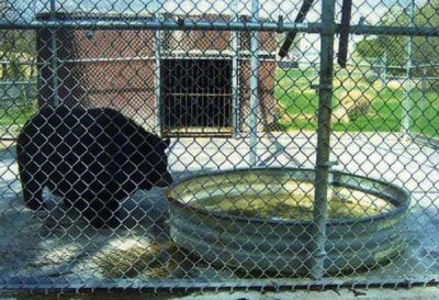 Photo Gallery: Animals Used for Entertainment | PETA