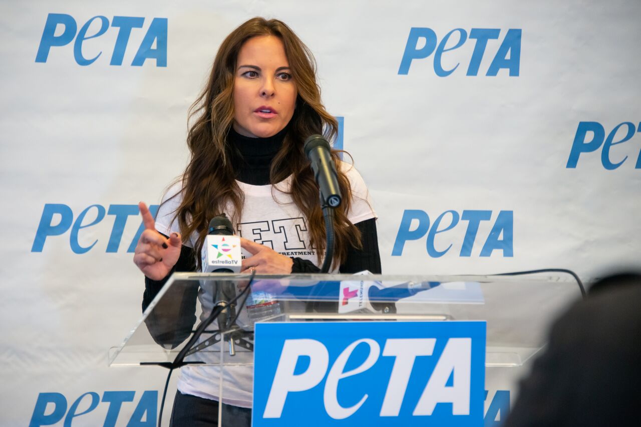 Kate del Castillo Launches Anti-Violence PETA Campaign | PETA