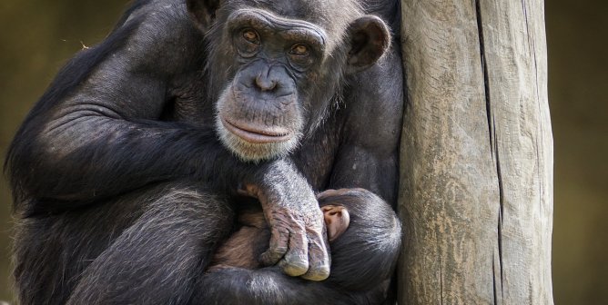 PETA Takes On Industries That Exploit Animals | Campaigns