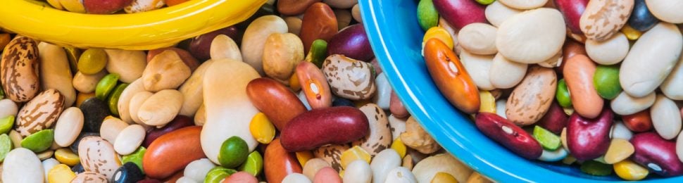 Our Guide to Fibermaxxing | PETA