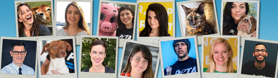 Meet the Teams | PETA