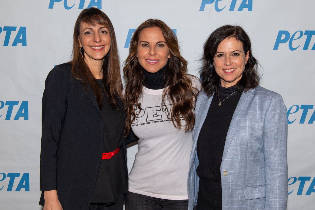 Kate del Castillo Launches Anti-Violence PETA Campaign | PETA