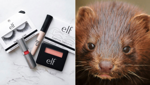 Cruelty-Free & Vegan Living & Lifestyle | PETA