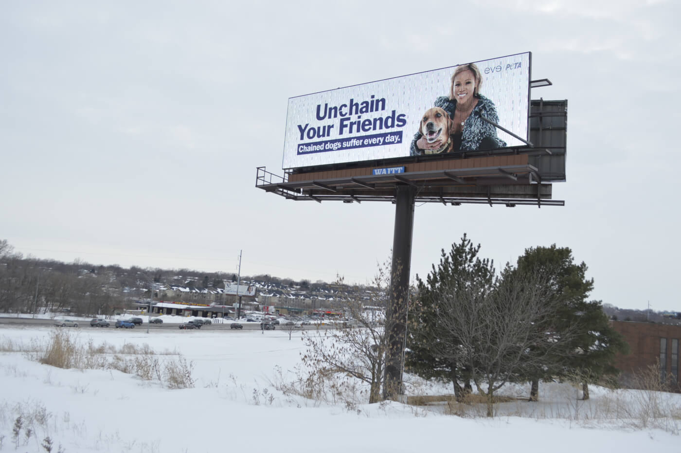 Omaha, NE Billboards | PETA