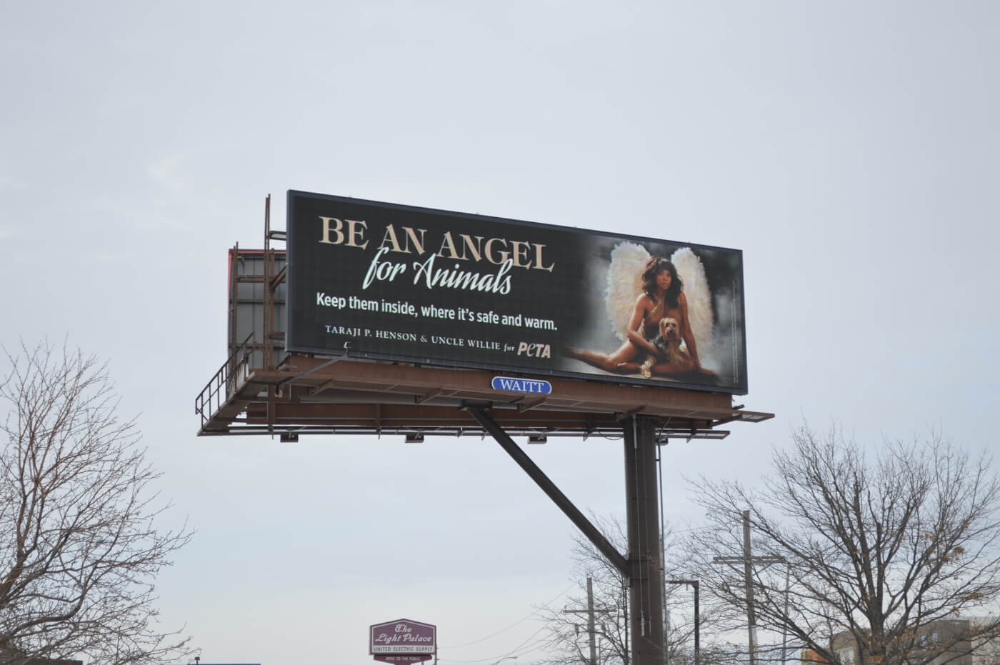 Omaha, NE Billboards | PETA