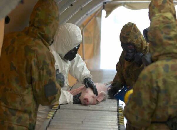 16 Pictures of What Animal Testing Really Looks Like | PETA