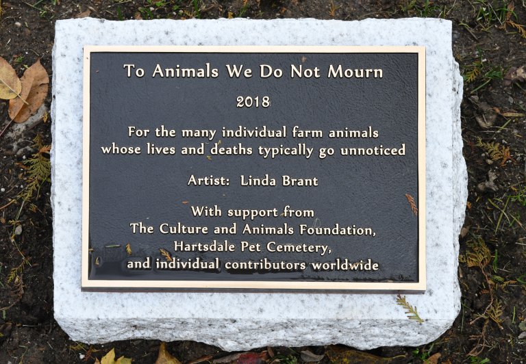 Monument in 'Pet' Cemetery Honors Unmourned Animals | PETA