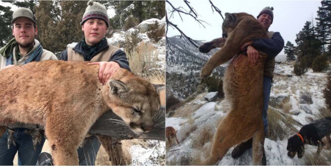 Jimmy John Hunting Africa