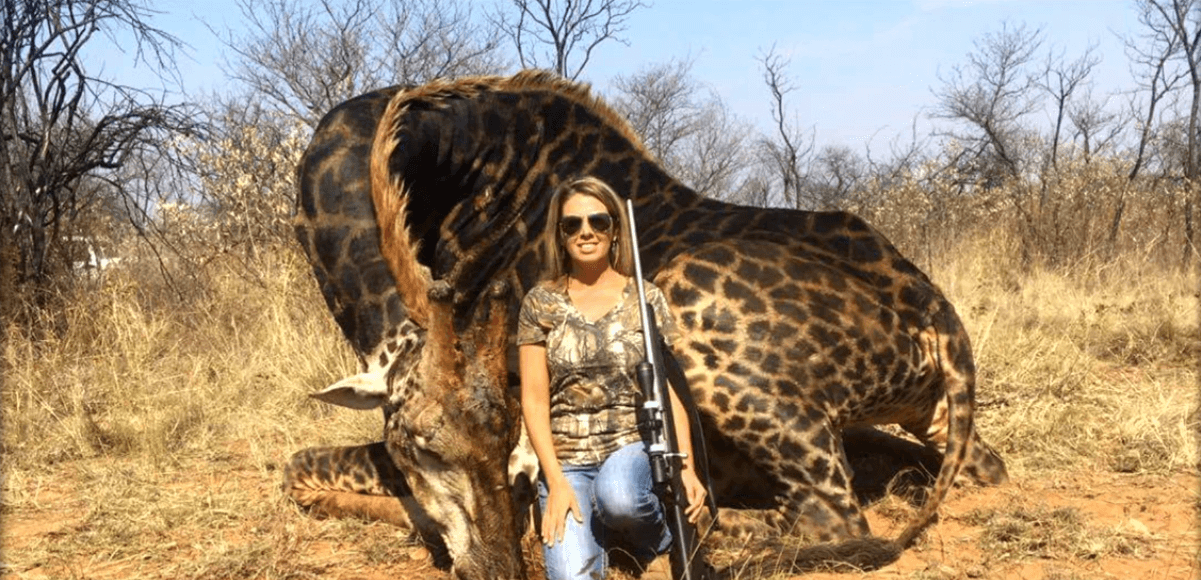 Trophy Hunter Tess Talley Turned Giraffe Into Pillows | PETA