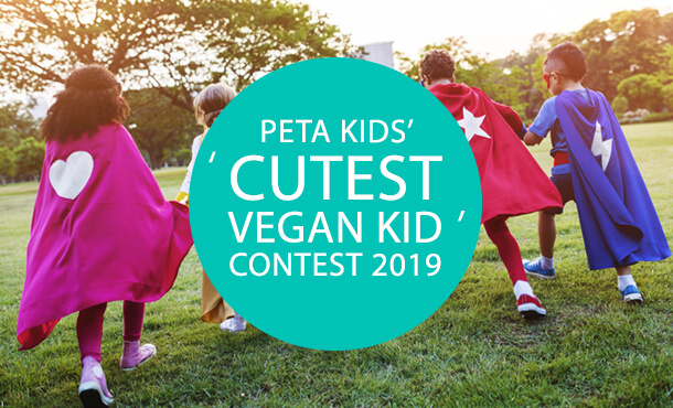 PETA Kids | PETA