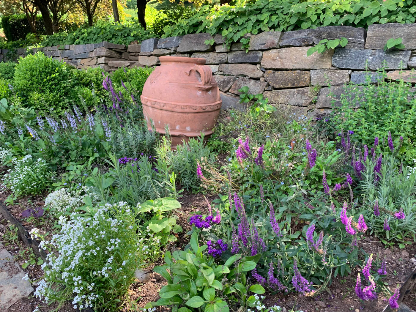 Easy Ways to Make Your Yard a Pretty Wildlife Habitat | PETA