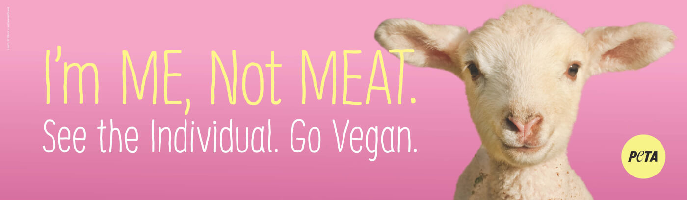 Billboard | PSAs | Media Center | PETA
