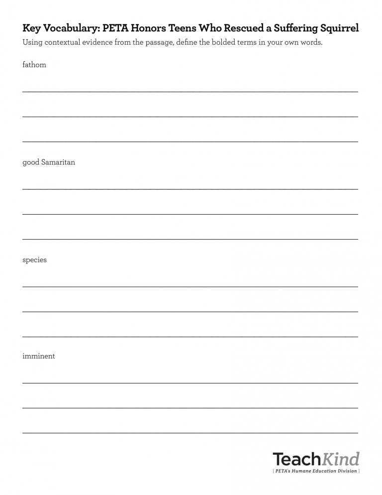 TeachKind Rescue Stories: Teens Save a Suffering Squirrel | PETA