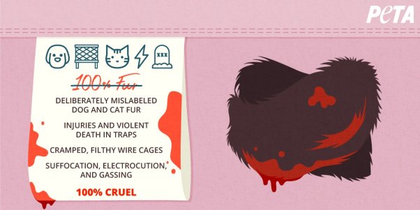 PETA Clothing Tags Reveal What's in Your Leather and Wool | PETA