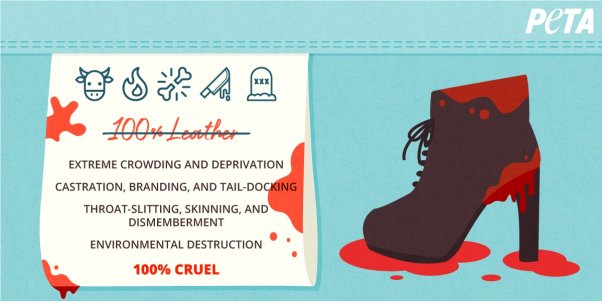 PETA Clothing Tags Reveal What's in Your Leather and Wool | PETA