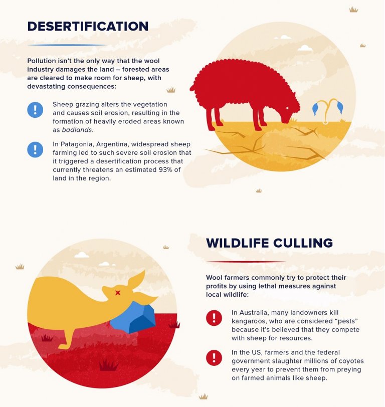 PETA Infographic: The Wool Industry Is Ruining the Planet | PETA
