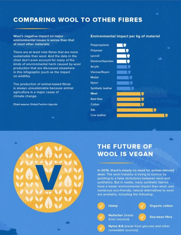 PETA Infographic: The Wool Industry Is Ruining the Planet | PETA