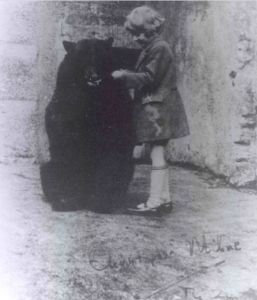 Meet the Real Winnie the Pooh Behind the Iconic Character | PETA