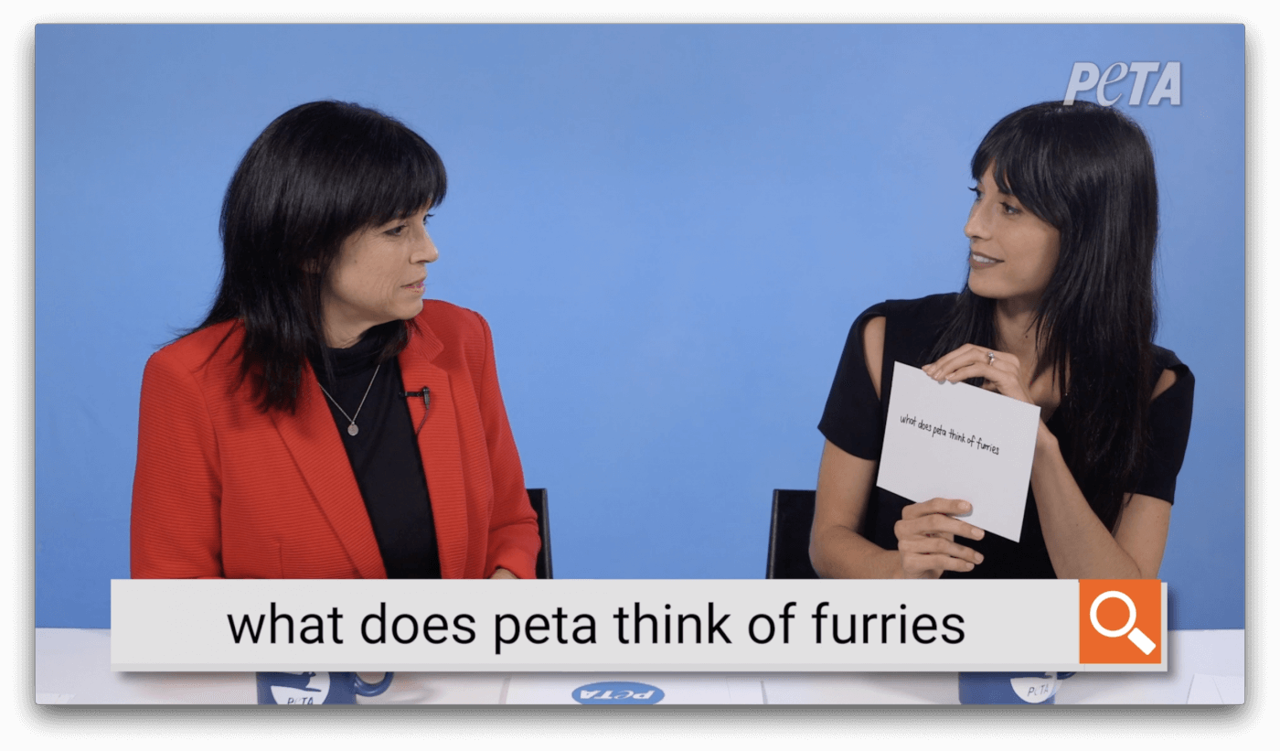 PETA Responds to It All in 'You Searched, We Answered' | PETA