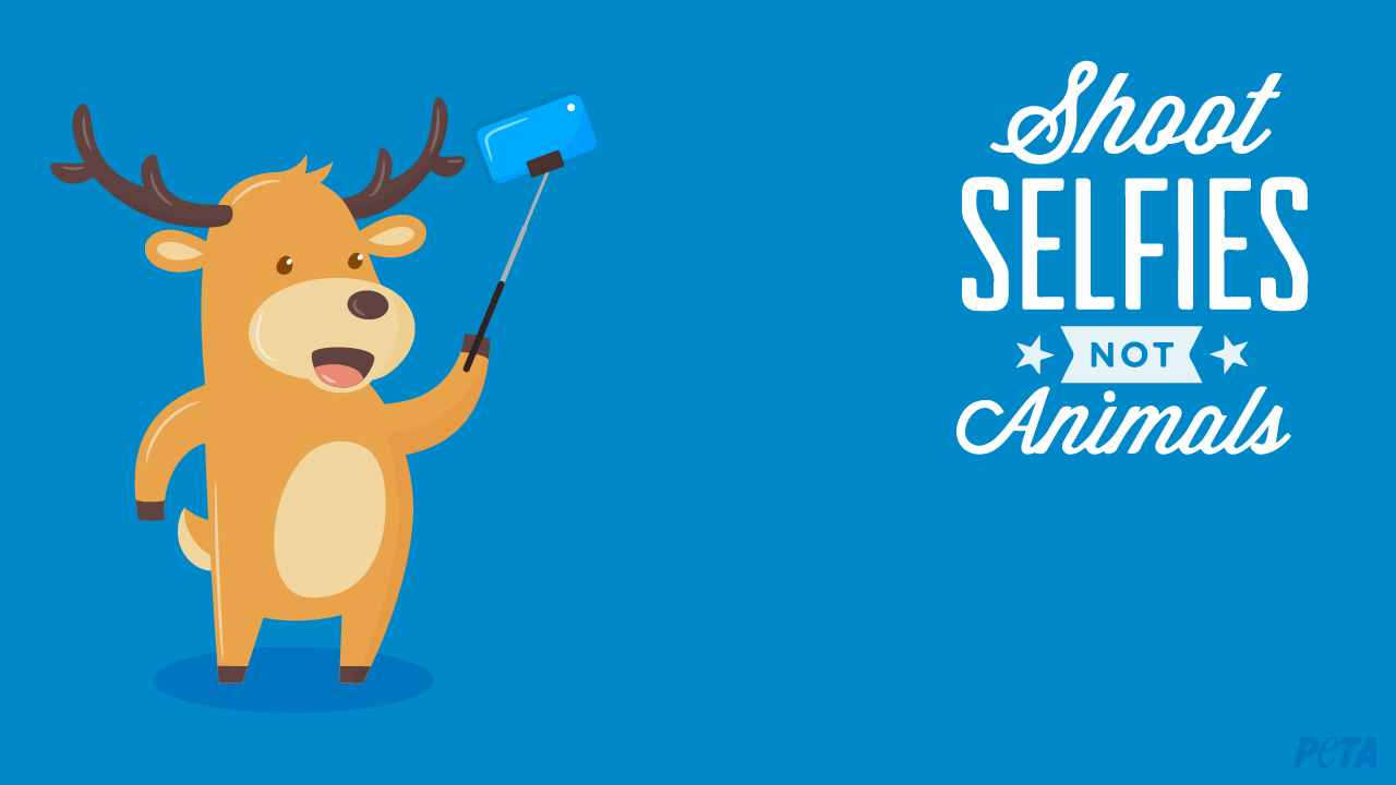 Free Zoom Backgrounds That Help Animals | PETA