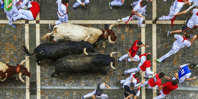 Bullfighting | PETA