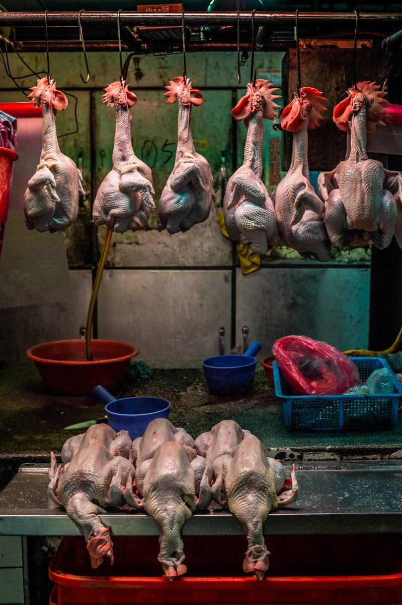 California and New York Could Ban Deadly 'Wet Markets' | PETA