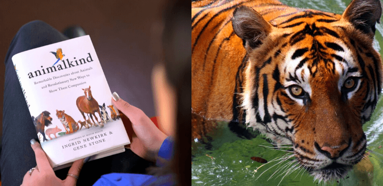 Tiger Facts From ‘Animalkind’ Book You Didn’t Know About