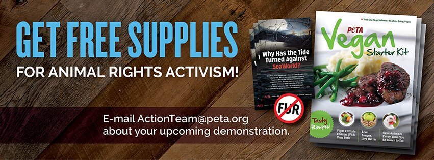 Print Your Own Animal Rights Posters at Home | PETA