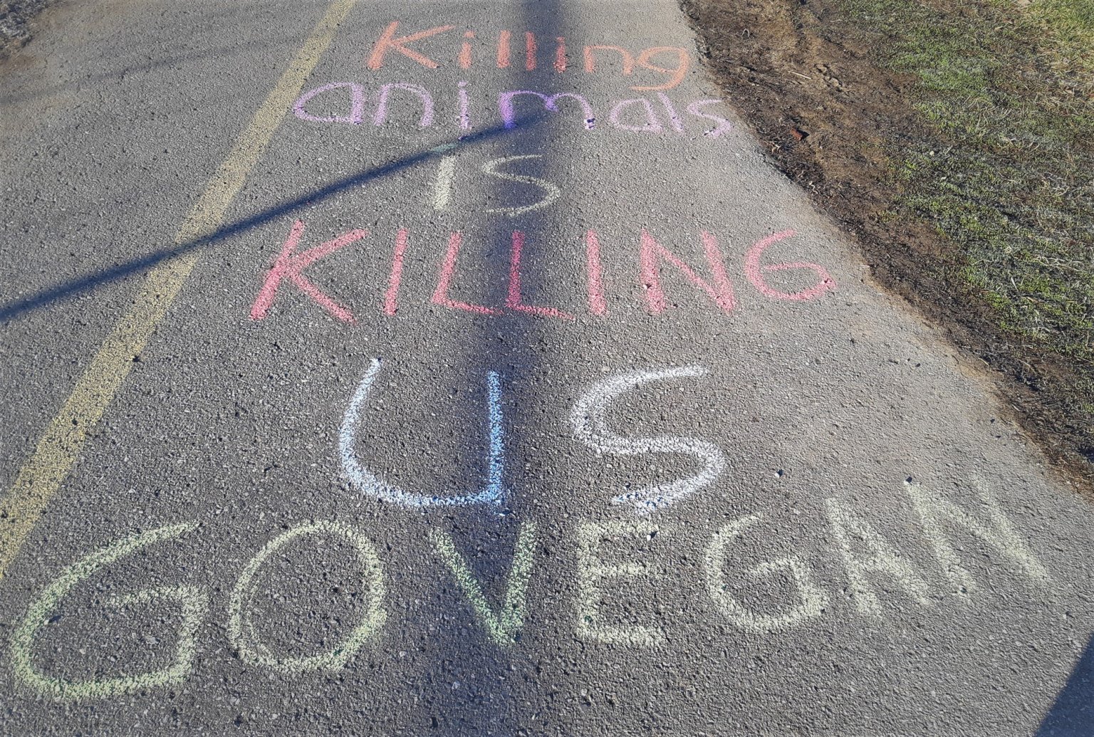 Get the Word Out for Animals While Staying In | PETA