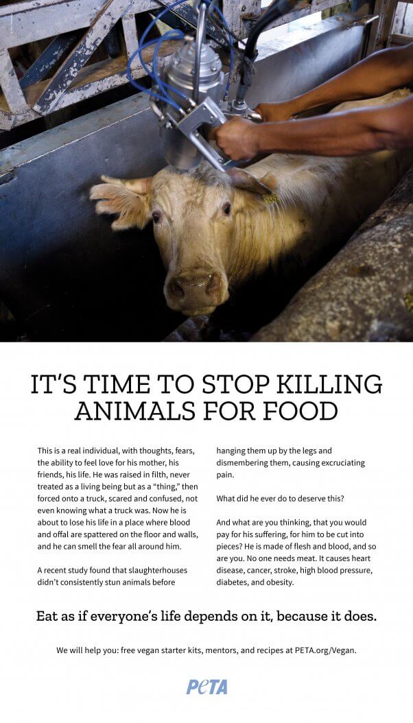 PETA Attacks Slaughterhouse Openings With Full-Page Newspaper Ads | PETA