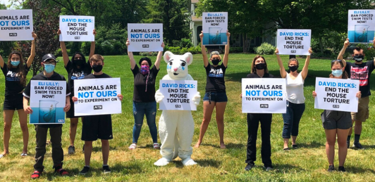Apply to Become a PETA Action Leader Today | PETA