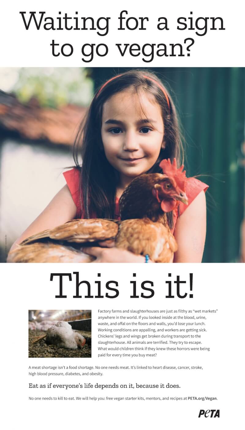 Award-Winning 'Don’t Stand for Injustice' | PETA