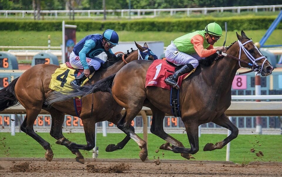 New Studies Support Whip-Free Horse Races | PETA