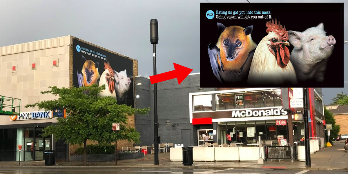 Blame COVID-19 on Eating Animals, PETA Billboard Says | PETA