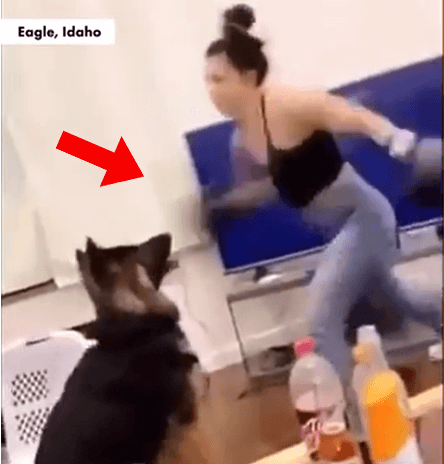 Demand That Charges Be Filed for Repeated Punching of Dog in Boise! | PETA