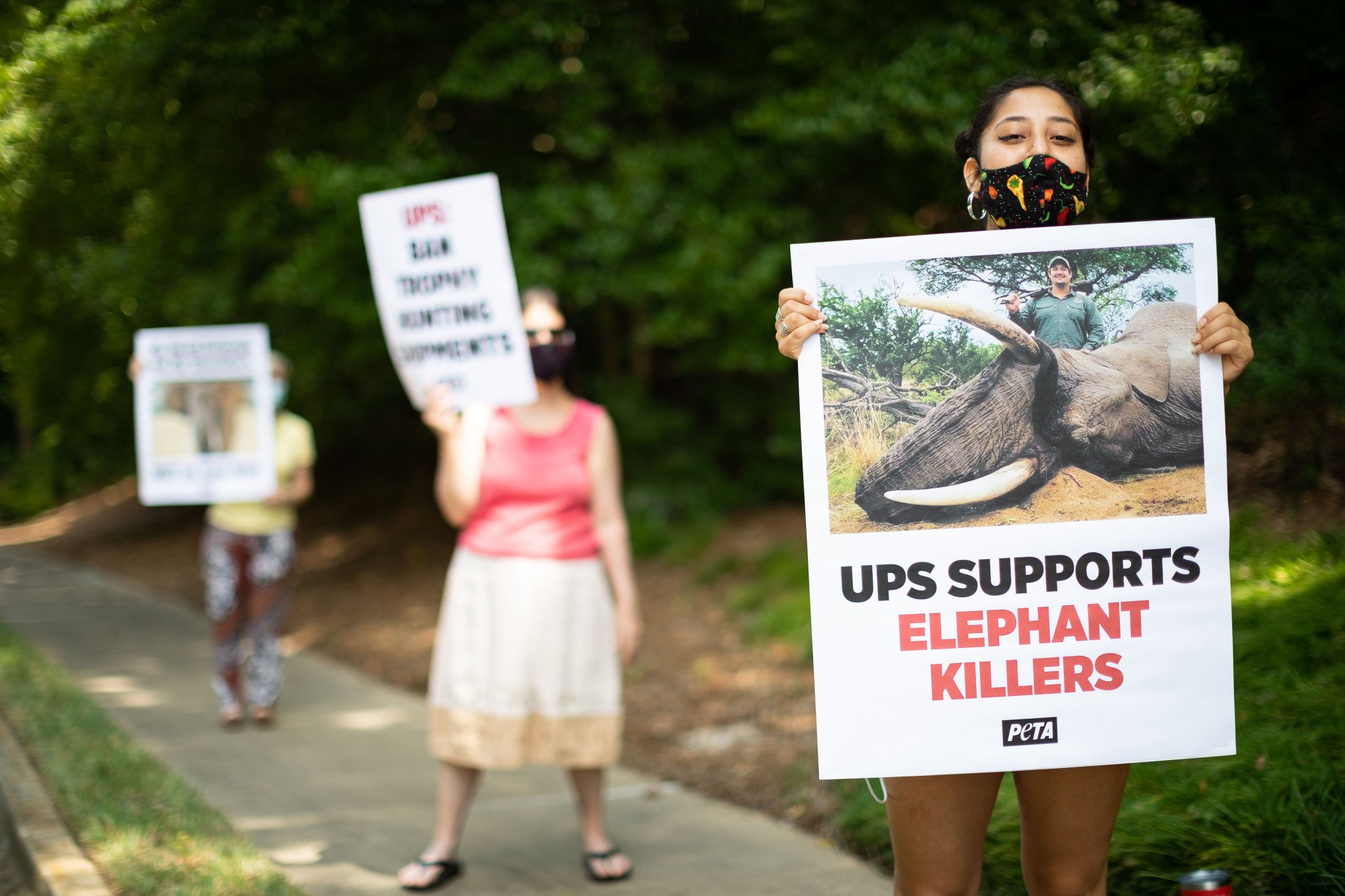 Trophy Hunting Video Prompts UPS Protest: 'Stop Shipping Body Parts ...