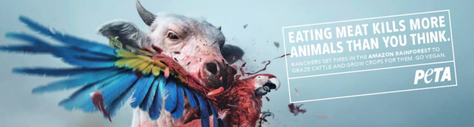 Public Service Announcements (PSAs) | Media Center | PETA