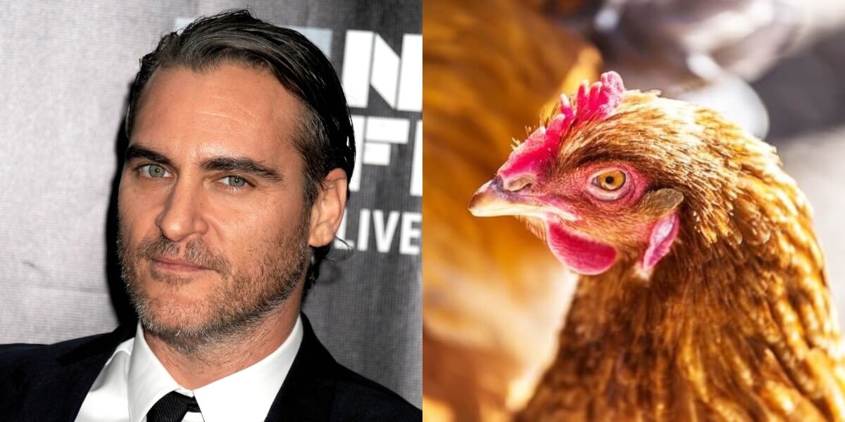 Joaquin Phoenix Exposes Walmart Egg Supplier | PETA