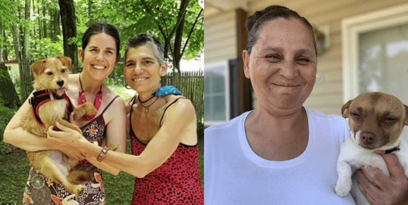 These Animals Needed Our Urgent Help in July 2020 | PETA