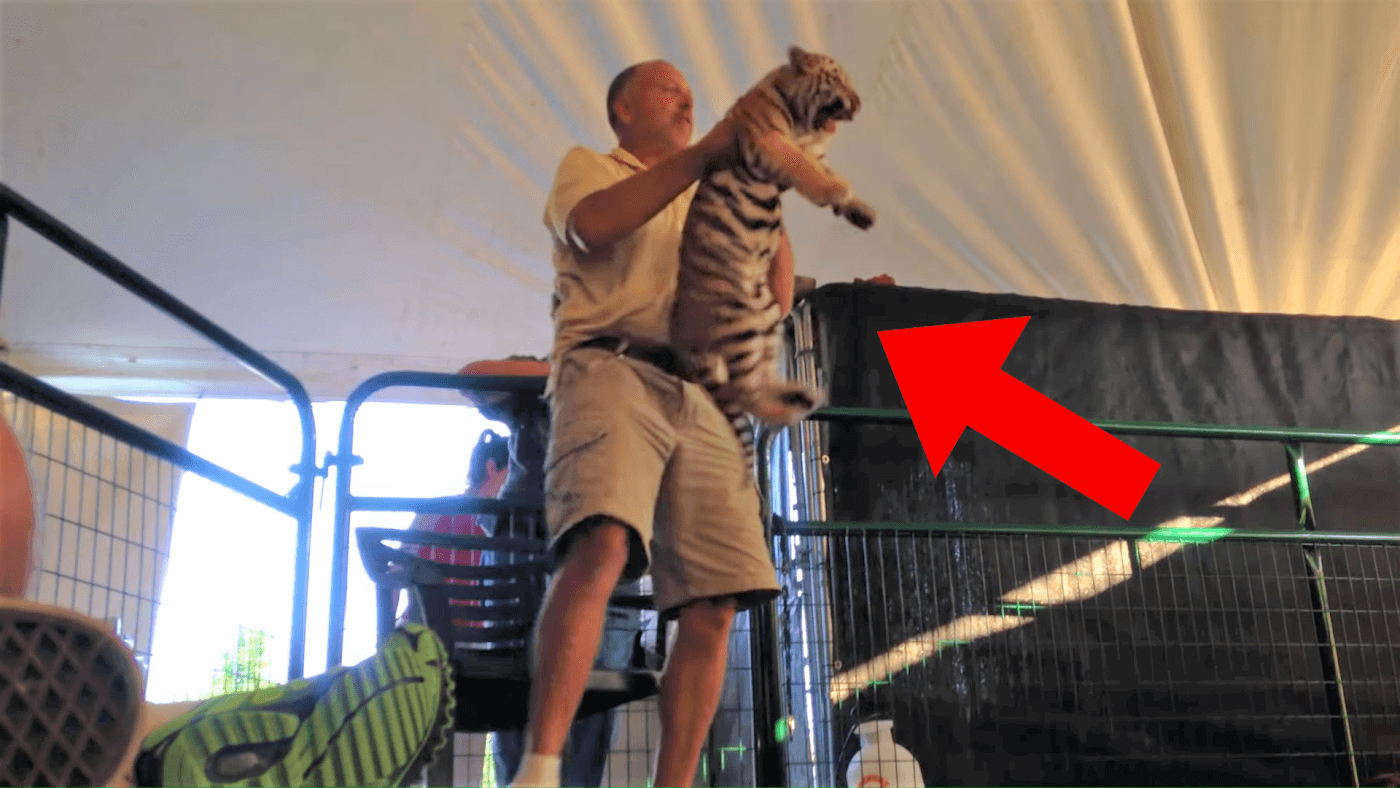 Tim Stark Ordered to Pay $733,997.70 to PETA (June 2021)