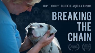What Celebs Are Saying About 'Breaking the Chain' | PETA