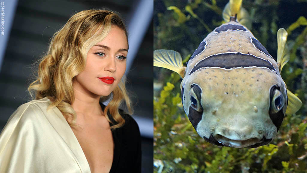 Uncategorized page 8 | PETA