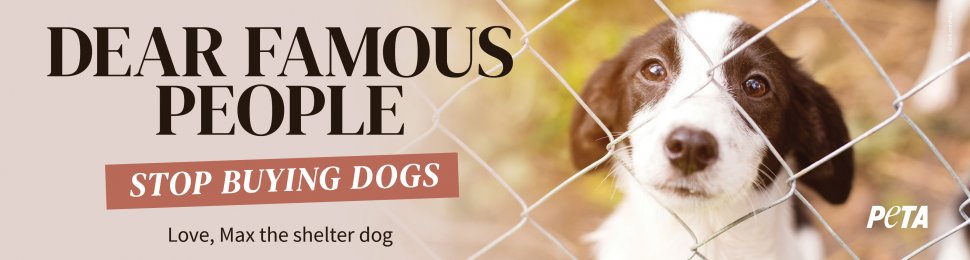 Media Center | PETA.org