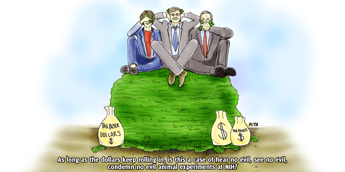 What Do Your Taxpayer Dollars Really Pay For? | PETA