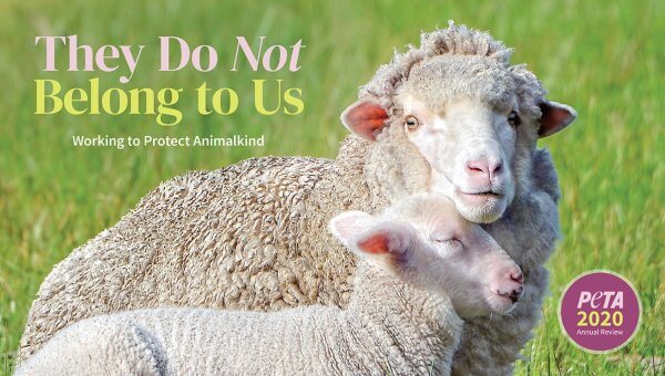 About PETA | PETA.org