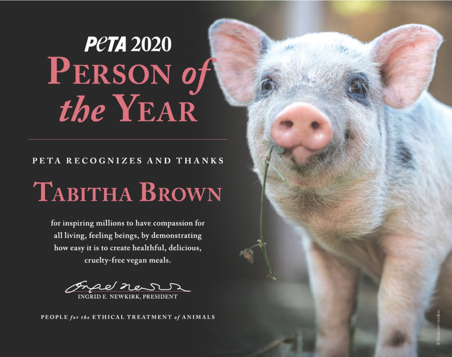 PETA Crowns Tabitha Brown 2020's Person of the Year | PETA