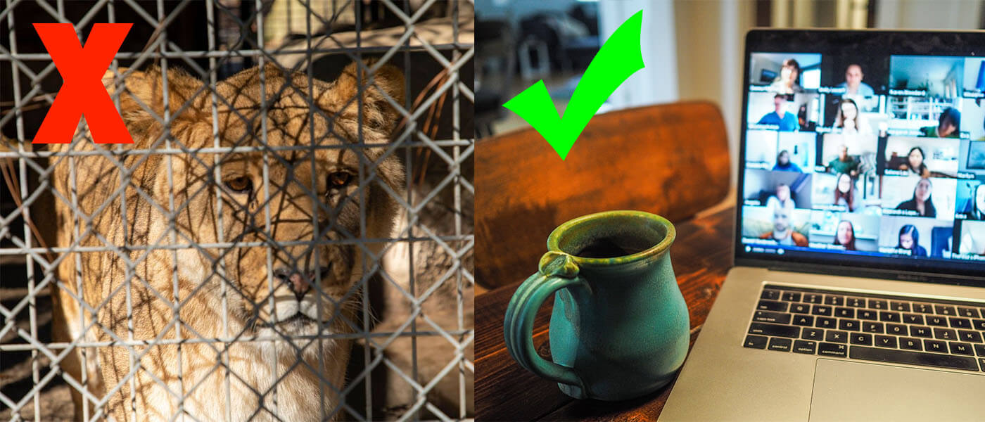 PETA’s What’s ‘In’ and What’s ‘Out’ List for 2021 | PETA