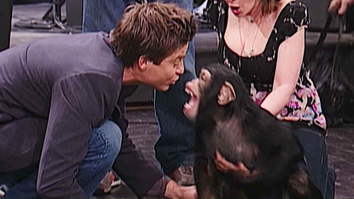 SNL: The Throwback Mikey the Chimpanzee Deserves | PETA