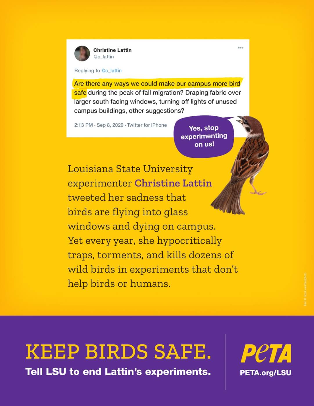 Print | PSAs | Media Center | PETA