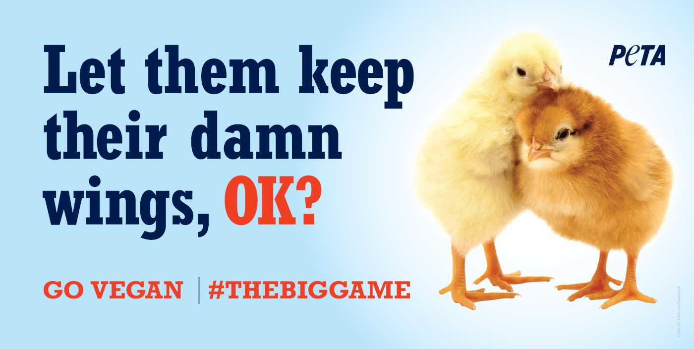 PETA Scores in Super Bowl Print Ad—See the Spread | PETA